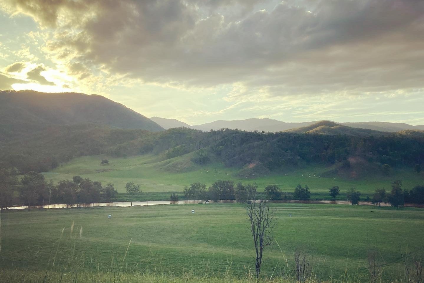 Your Local News | Tenterfield Shire Council