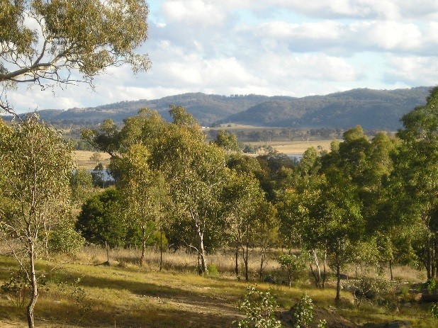 Tenterfield Park | Tenterfield Shire Council