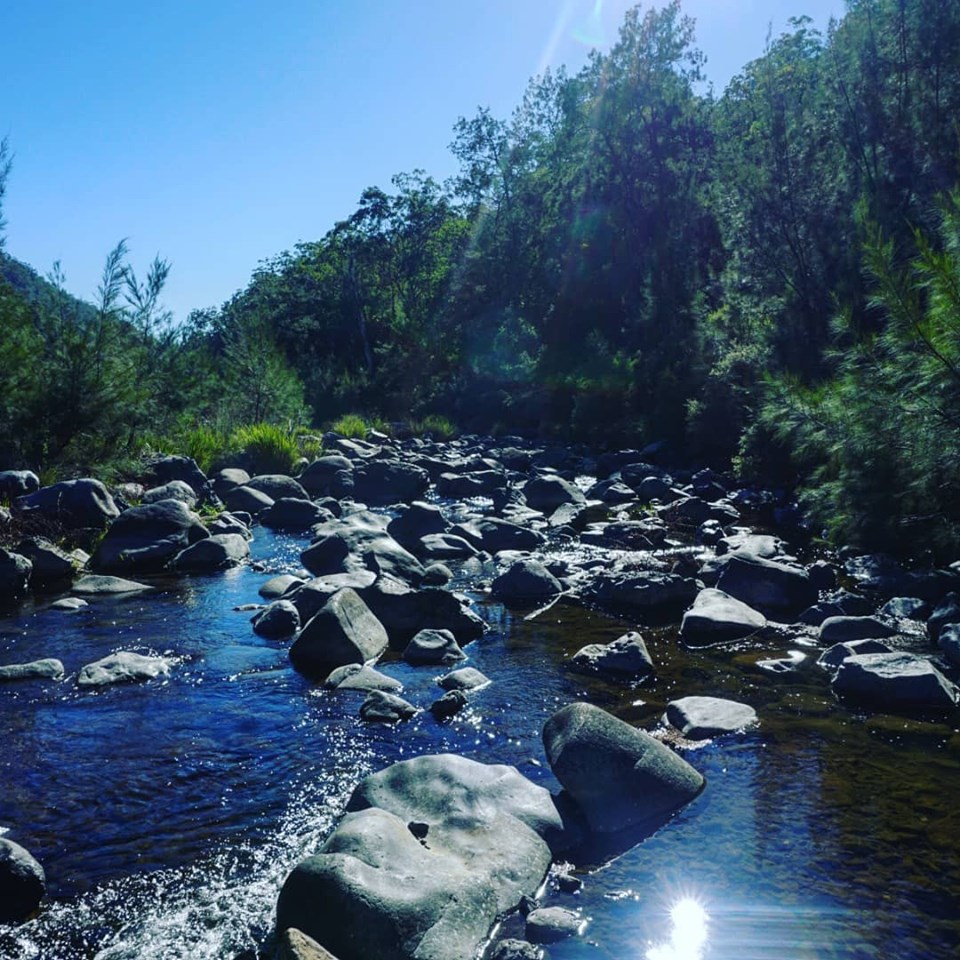 Accessing Information | Tenterfield Shire Council