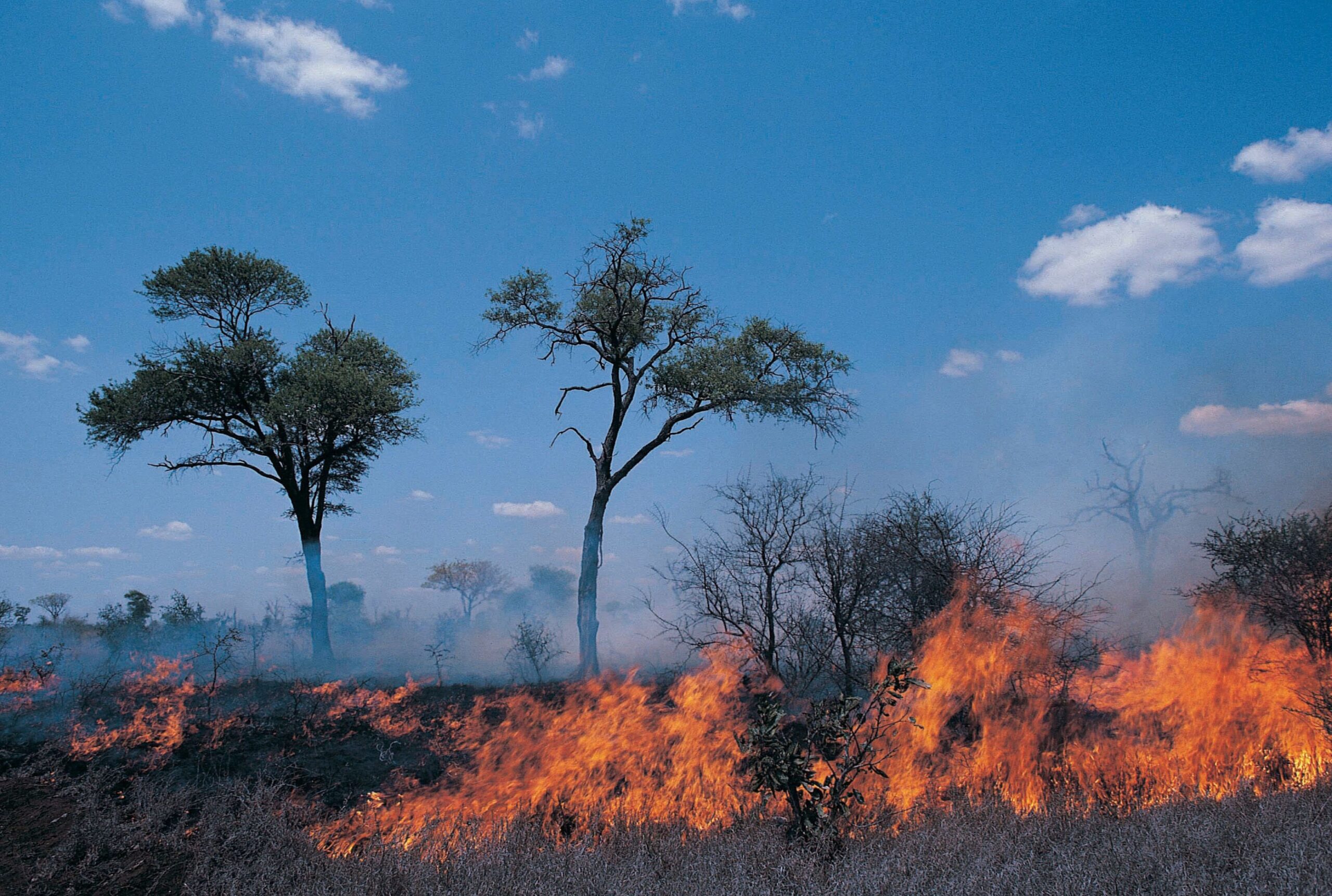 Local Emergency Management Plan (EMPLAN) | Tenterfield Shire Council